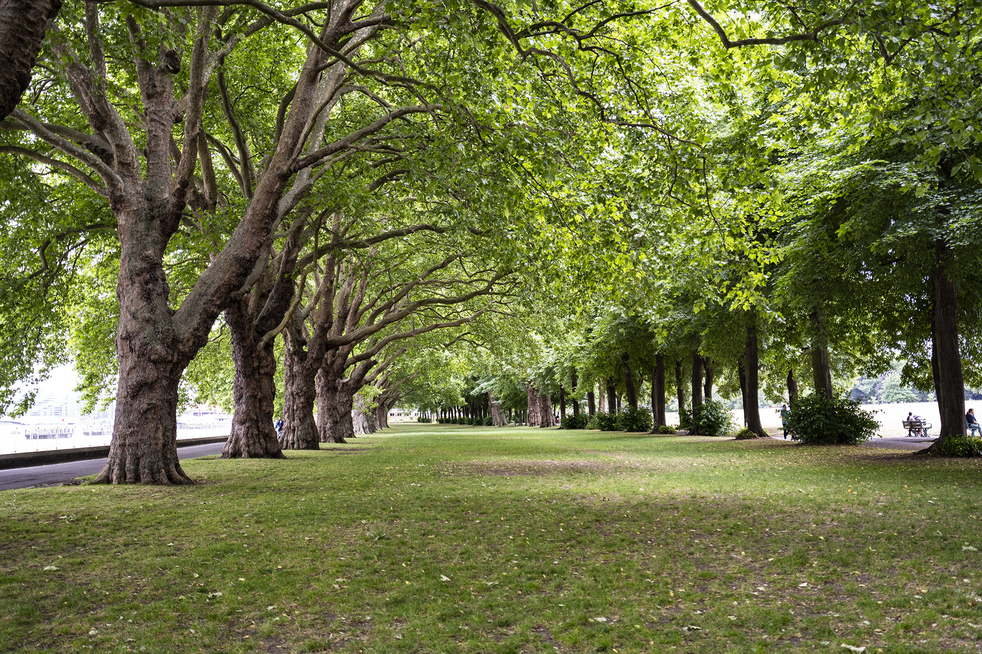 An Insider's Guide to Putney